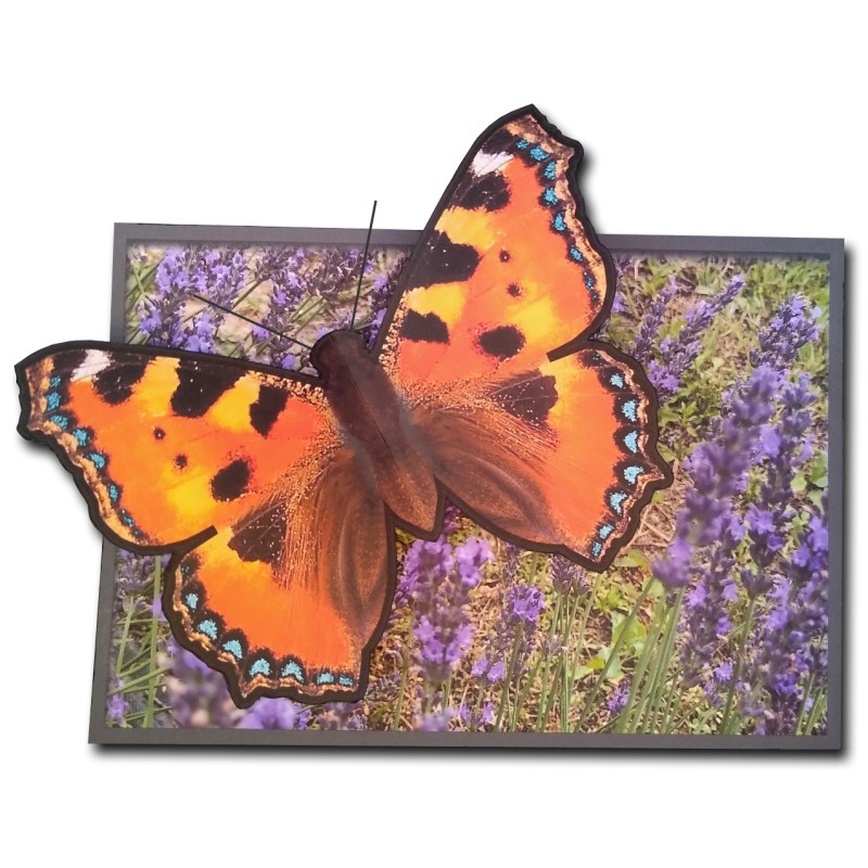 SMALL TORTOISESHELL BUTTERFLY - model for beginners (JSC 811)