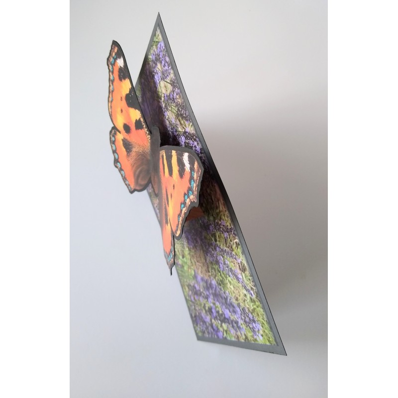 SMALL TORTOISESHELL BUTTERFLY - model for beginners (JSC 811)
